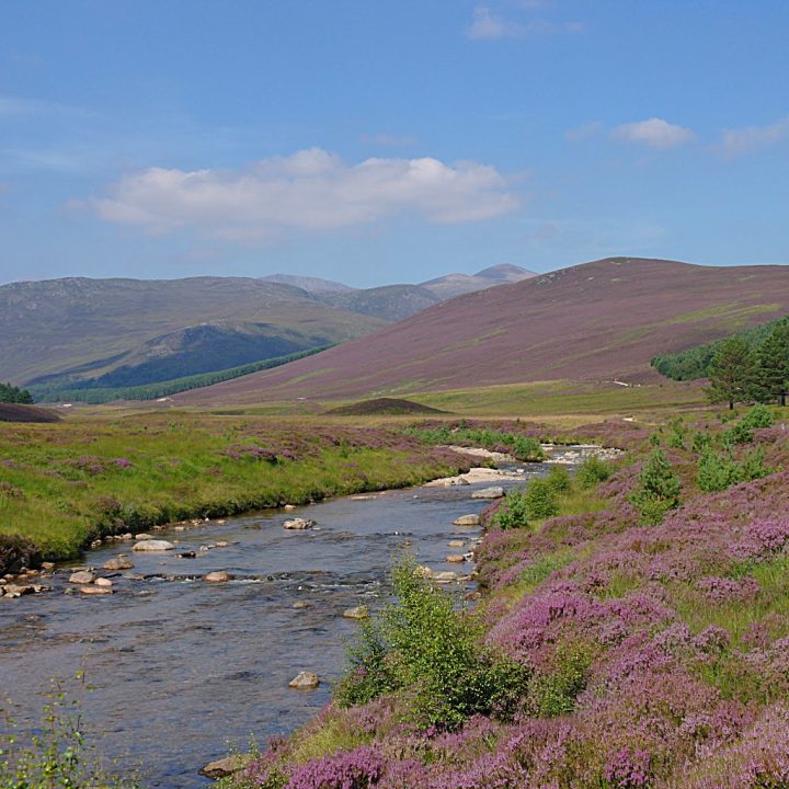Best Time to Visit Scotland. Could it be June? - Must See Scotland