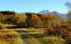 Scotland in Autumn - where to see the best colours - Must See Scotland