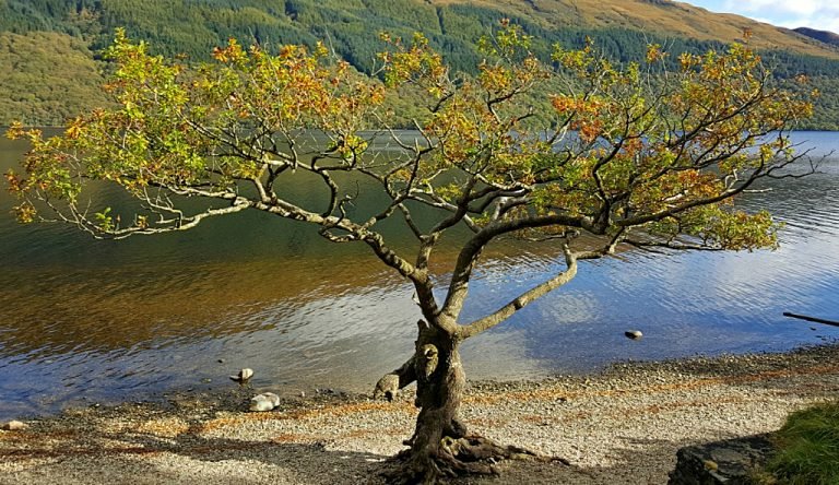 Scotland in Autumn - where to see the best colours - Must See Scotland