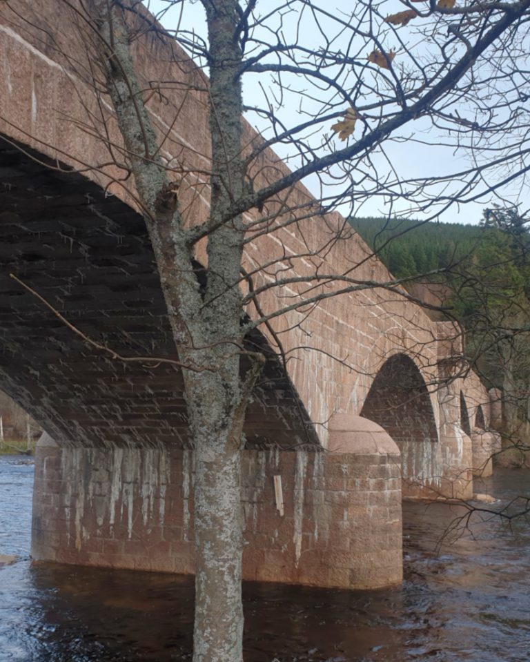 Beautiful Deeside - peerless pinewoods, rushing river, royal playground ...