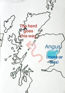Where is Angus? Glens, hills and a fine coast – Must See Scotland