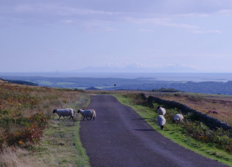 Where is Galloway? Turn left. It’s mild, diverse and overlooked – Must ...